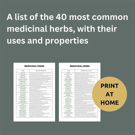 Medicinal Herb Guide Digital Download Herb Reference Guide Herb