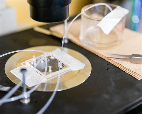 Microfluidic Platform IMAGE EurekAlert Science News Releases