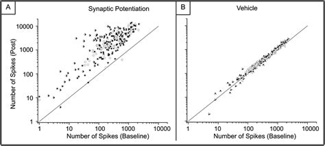 There Is A Persistent Increase In Spiking Activity After Synaptic Download Scientific Diagram