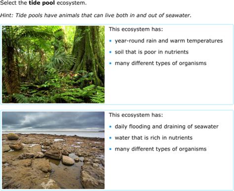 Ixl Identify Ecosystems 3rd Grade Science