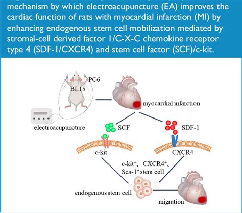 Figure 5 From Electroacupuncture Improves Cardiac Function After