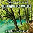 Der Klang des Waldes Naturklang der Singvögel ohne Musik