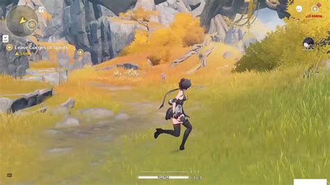 So My Laptop Had A Case Of Frames Dropping To Half Of Its Current Amount That Lasts For Around