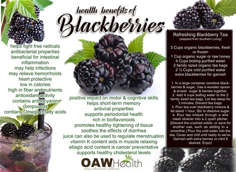 Health Benefits Of Blackberries
