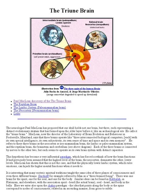 Triune Brain Pdf Limbic System Neocortex