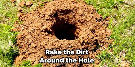 How To Fill Holes In The Yard 5 Step Easy Processes 2026