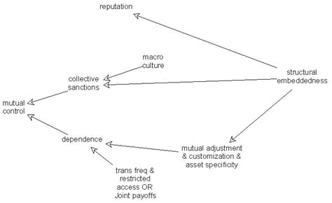Causal Cognitive Networks