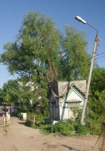Шуя - Фотографии русских городов
