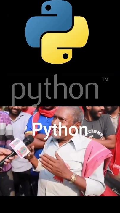 Programming Memes Languages You Should Know Coding Codingmemes