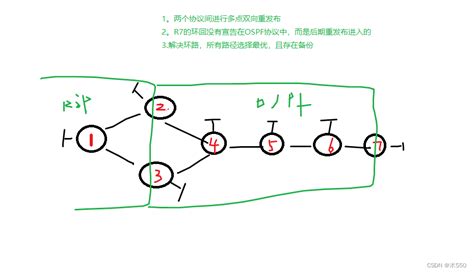 Hcip Bgp Ospf Csdn