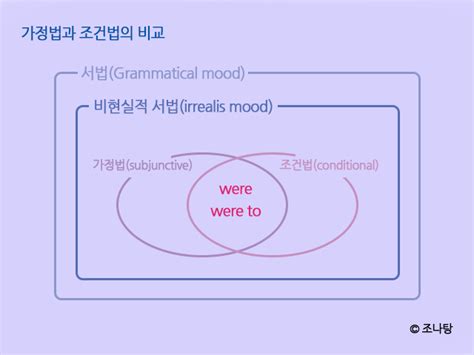 Subjunctive Conditional 숲 속의 공부