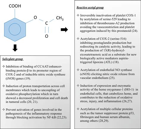 Structure Of Aspirin Functional Groups