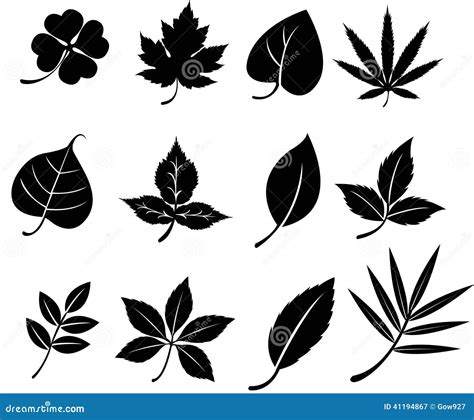Vector Illustration Silhouette Of Veins On A Leaf Maple Vector