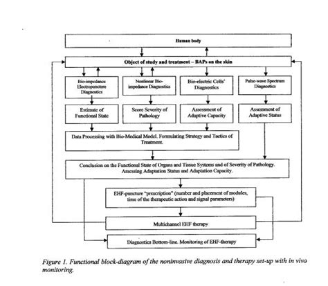 Functional Block Diagram Of The Noninvasive Diagnosis And Therapy