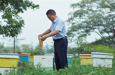 中国农业科学院蜜蜂研究所 中国蜂业