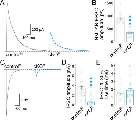 Figures And Data In Munc13 Supports Fusogenicity Of Non Docked Vesicles
