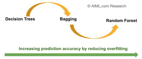 Explain The Concept And Working Of The Random Forest Model Aiml