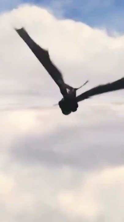 Httyd Toothless And Hiccup Haddock Flying Scene Httyd Shorts Youtube