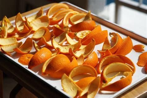 Destructivo Núcleo Artefacto Que Hacer Con La Cascara De Naranja