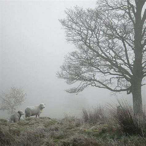 Visualizations Qualitative Figures From The Multi Step Overlap Download Scientific Diagram