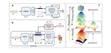 Transforming Protein Structure And Function Prediction With Cheap Embeddings Medvoltai