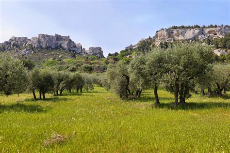 Provence Alpes C Te D Azur Large Scale Naturist Campsite Gravitao