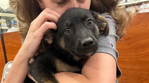 Fundraiser For Michael Schicker By Michael Schicker Support Harpers Recovery After Tragic