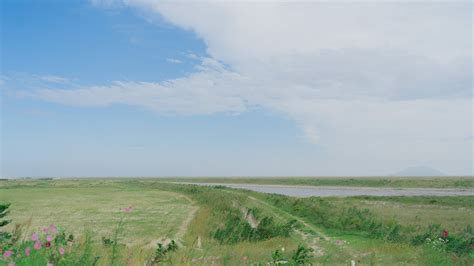 강아지랑 여행하기 힘든 이유 전북 부안 변산여행 Youtube