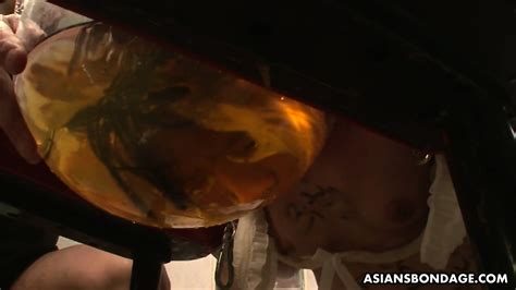 Asian Bdsm Uncensored Getting Dunked Eporner