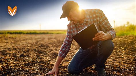 ¿qué Es Un Seguro Agrícola Y ¿para Qué Sirve