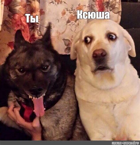 Комикс мем Ксюша Ты Комиксы Meme arsenal