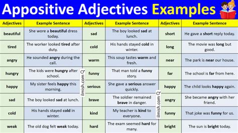 Examples Of Appositive Adjectives In English With Pictures Ilmish