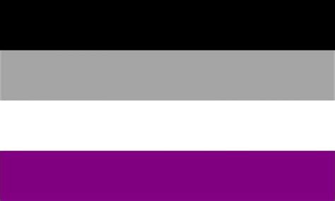 Asexual Flags Pride Products By The Flag Shop
