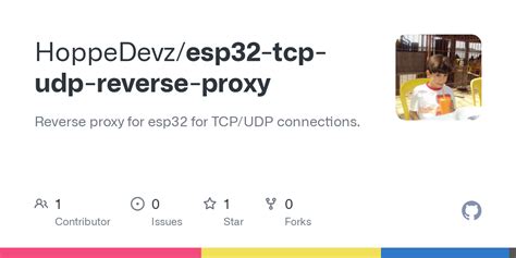 Github Hoppedevzesp32 Tcp Udp Reverse Proxy Reverse Proxy For Esp32 For Tcpudp Connections