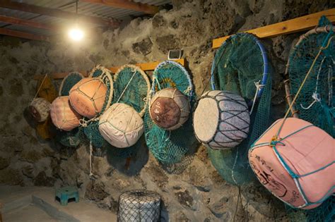 [소년중앙] 인류문화유산 ‘제주 해녀문화 제주 바당과 함께 살아온 세월 속으로 중앙일보