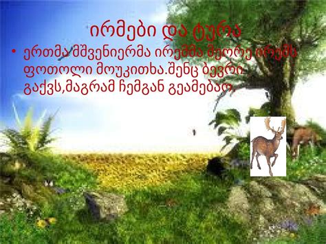 Calaméo ირმები და ტურა