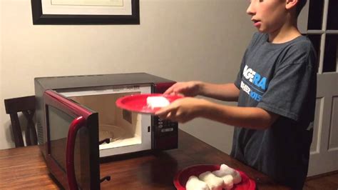 Science Experiment Comparison Youtube
