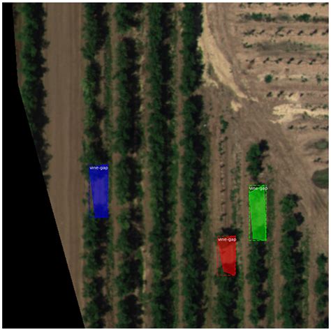 algorithms free full text vineyard gap detection by convolutional