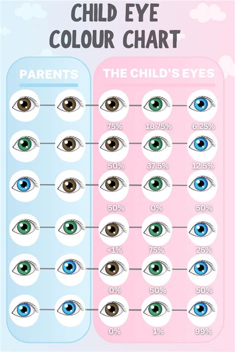 Eye Color Chart Based On Parents at Russell Chau blog
