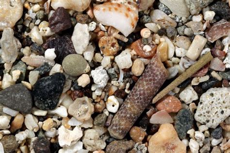 Ferry Landing Beach Gitmo Cuba Beach Sand Sample Crystals Minerals