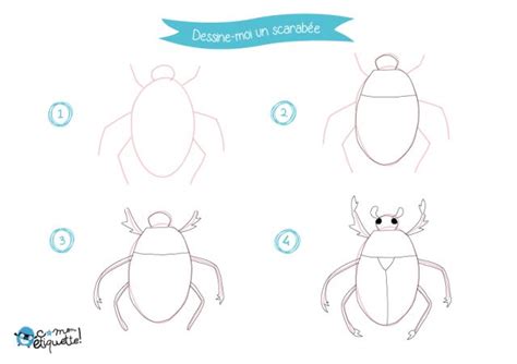 Dessine Moi Les Insectes How To Draw Insects Bugs Drawing Drawing
