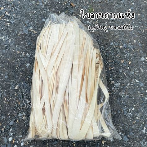 ใบลานตากแห้ง ใบลานสำหรับงานประดิษฐ์ ใบลานกระทง คละขนาด Shopee Thailand