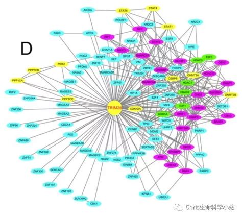 从零到壹Cytoscape插件使用心得 MCODE篇 腾讯云开发者社区 腾讯云