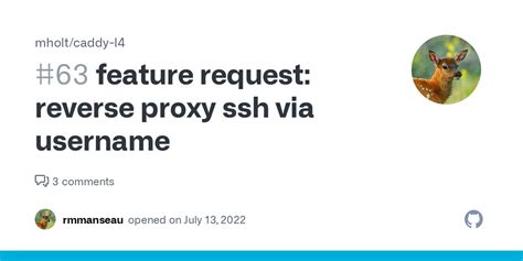 Feature Request Reverse Proxy Ssh Via Username Issue 63 Mholt