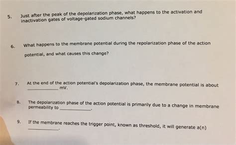 Solved Just After The Peak Of The Depolarization Phase What