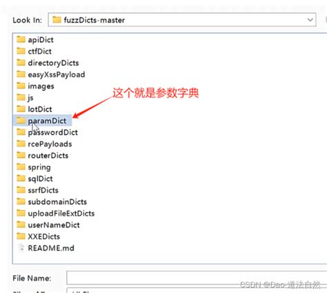 Day76：web攻防 Fuzz模糊测试篇andjs算法口令and隐藏参数and盲payloadand未知文件目录 Csdn博客