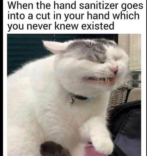 Painagony Even Rcatmemes