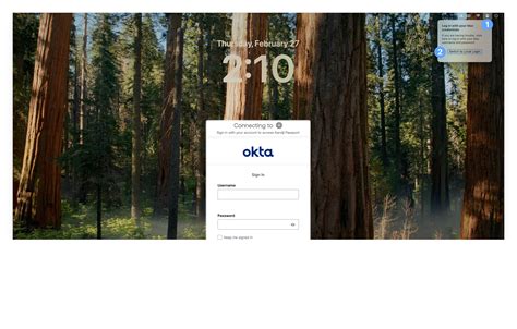 User Experience With Passport