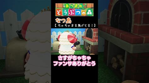 【あつ森】なつ島 ちゃちゃまるは料理の天才？ Shorts 参画座りでプクッ