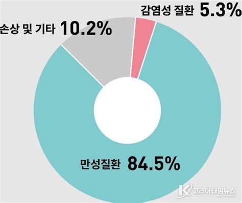 질병관리청 고령화로 인한 질병부담 지속 증가 3년간 만성질환 진료비 연 84 증가세